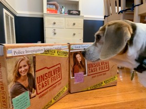 Review: Unsolved Case Files – Chaos & Confetti