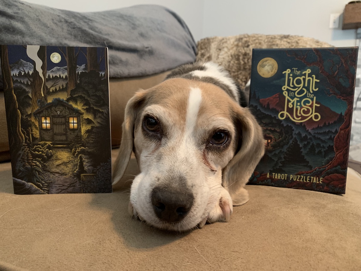Review: The Light in the Mist by PostCurious – Chaos & Confetti